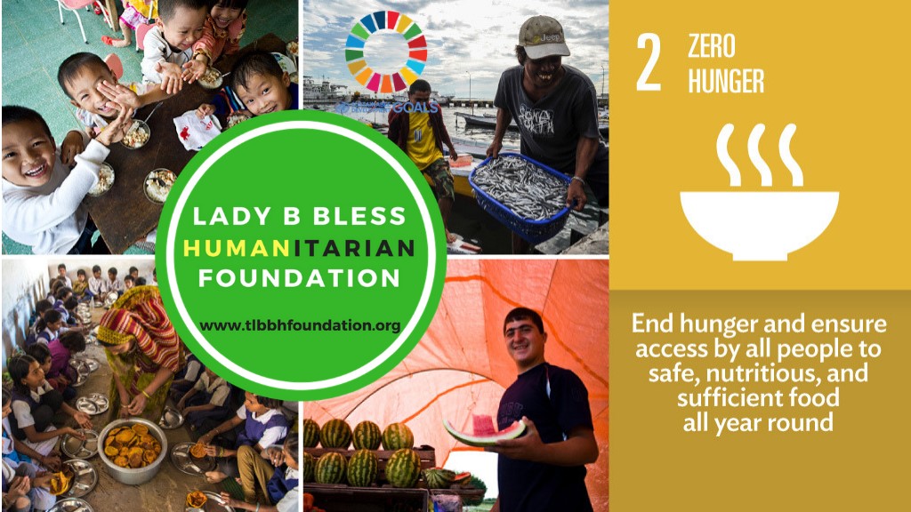 Our SDGs - The Lady B Bless Humanitarian Foundation